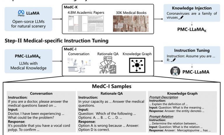 PMC-LLaMA: An Open-Source Medical LLM That Outperforms ChatGPT on ...
